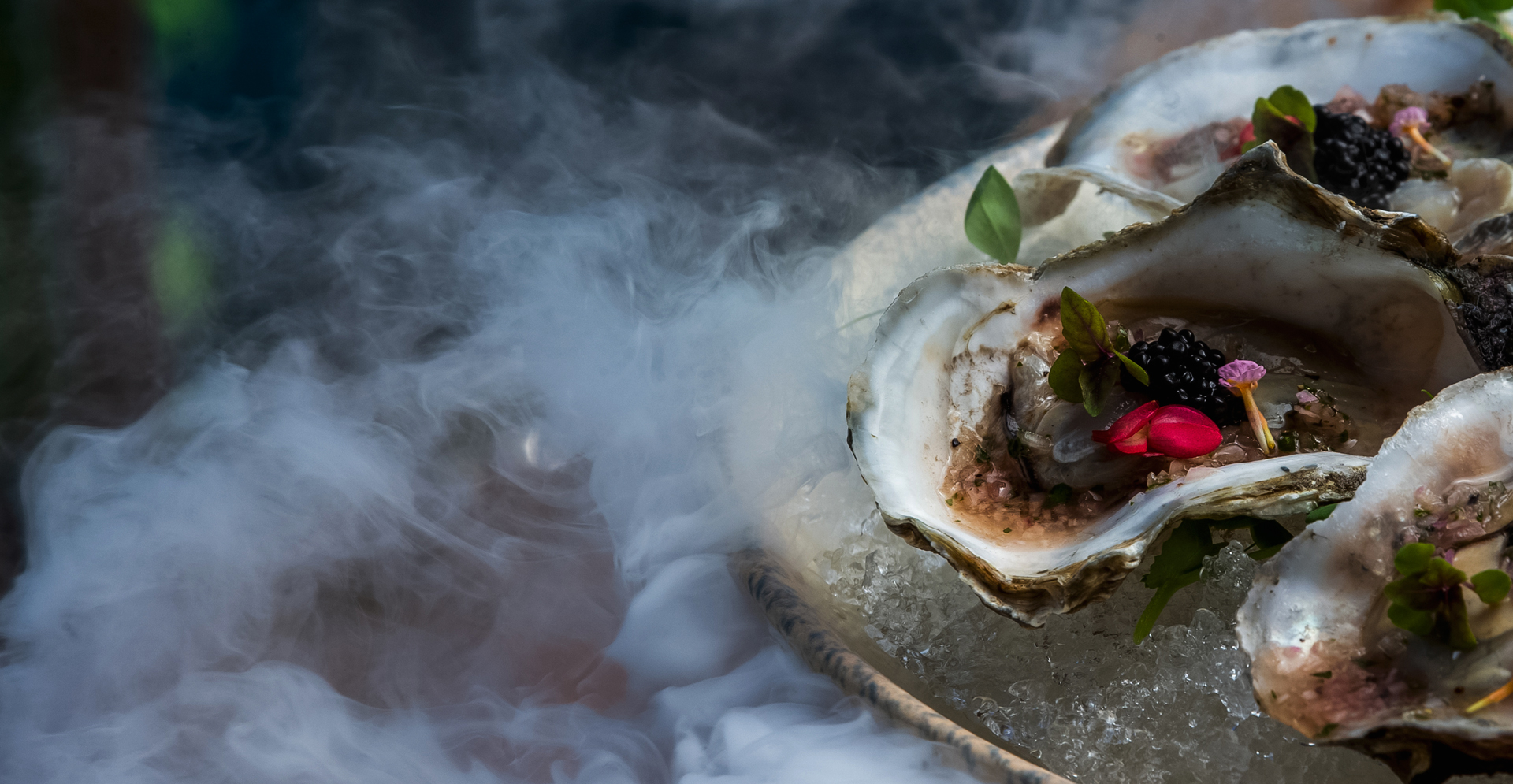 Inicio - La View Restaurant